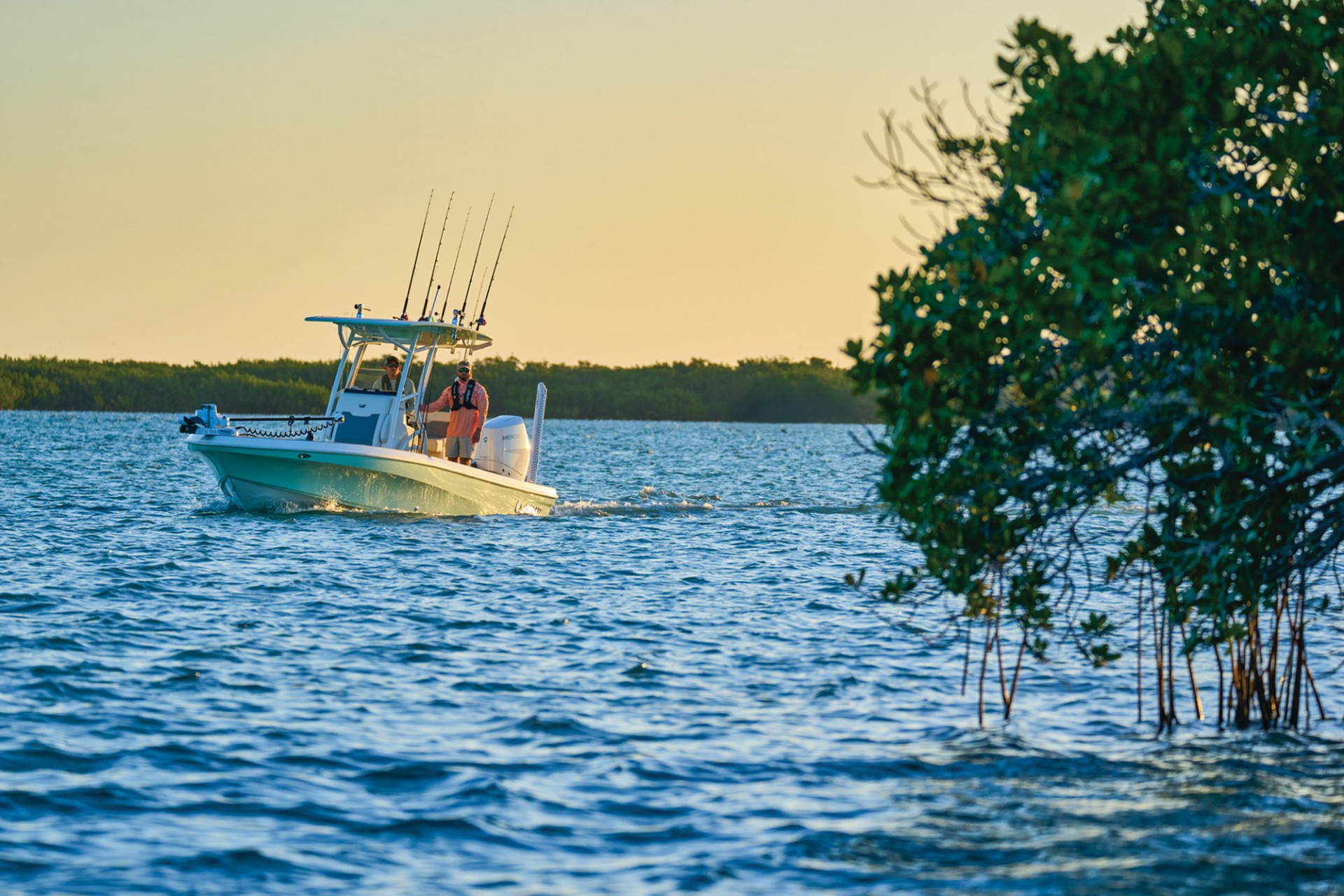 24 APEX - MAKO Inshore